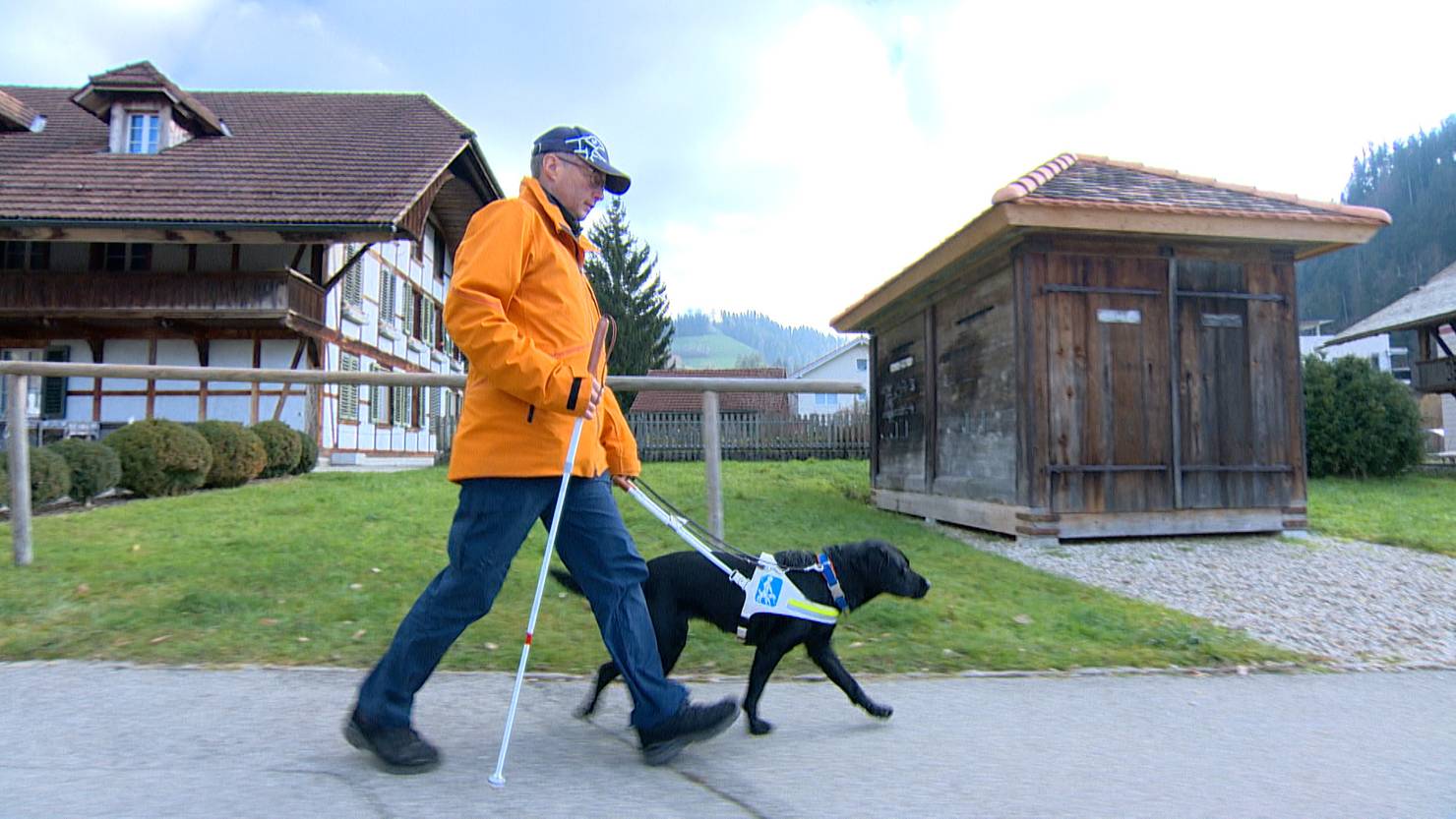 Festtagsspezialsendung: Blindenführhunde | TeleZüri