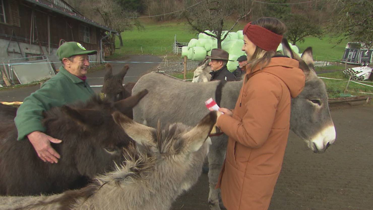 Herzblut - Eselmutter | Tele1