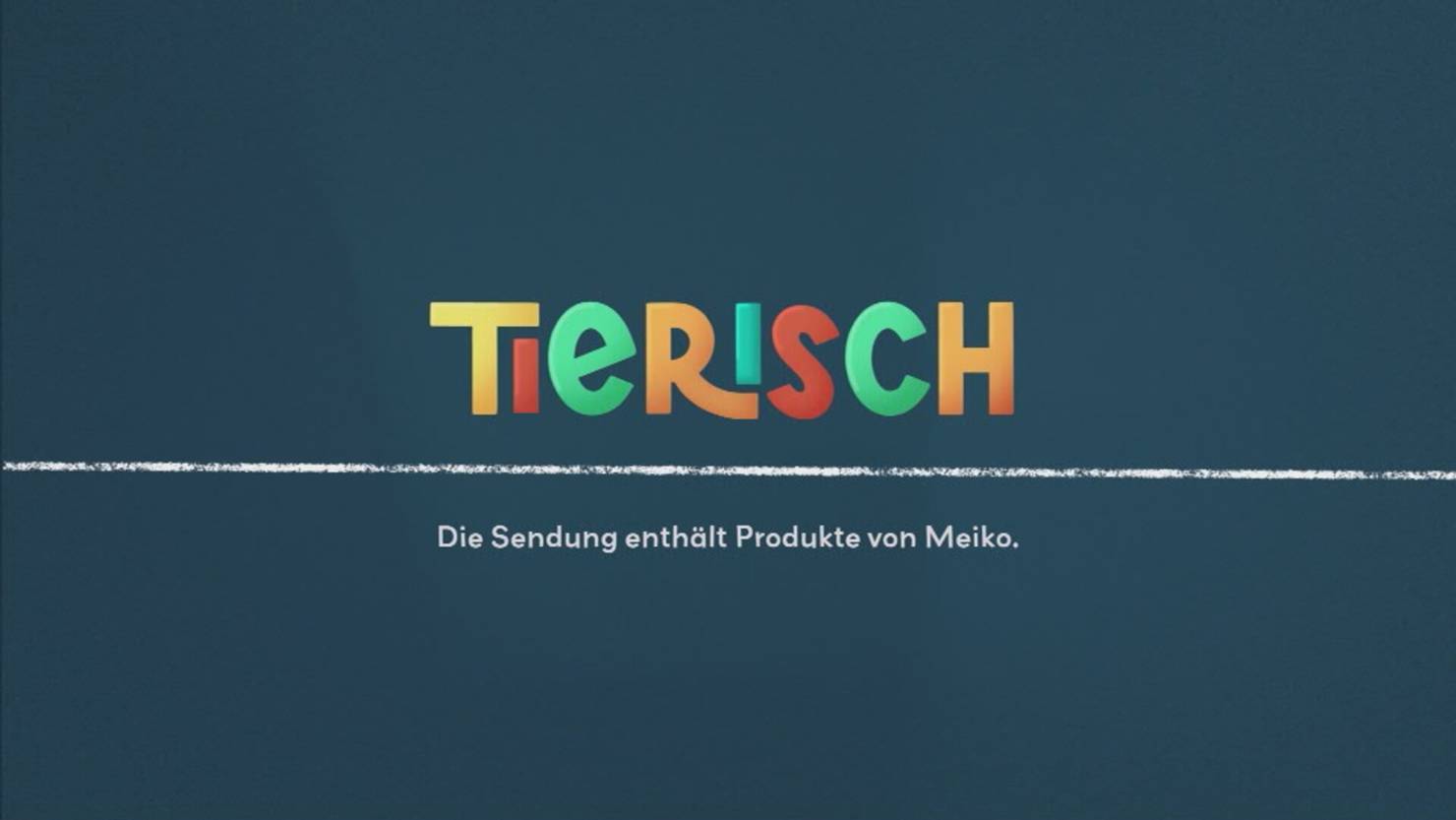 Tierisch «Spezialsendung 2»: Patenhunde | TeleM1