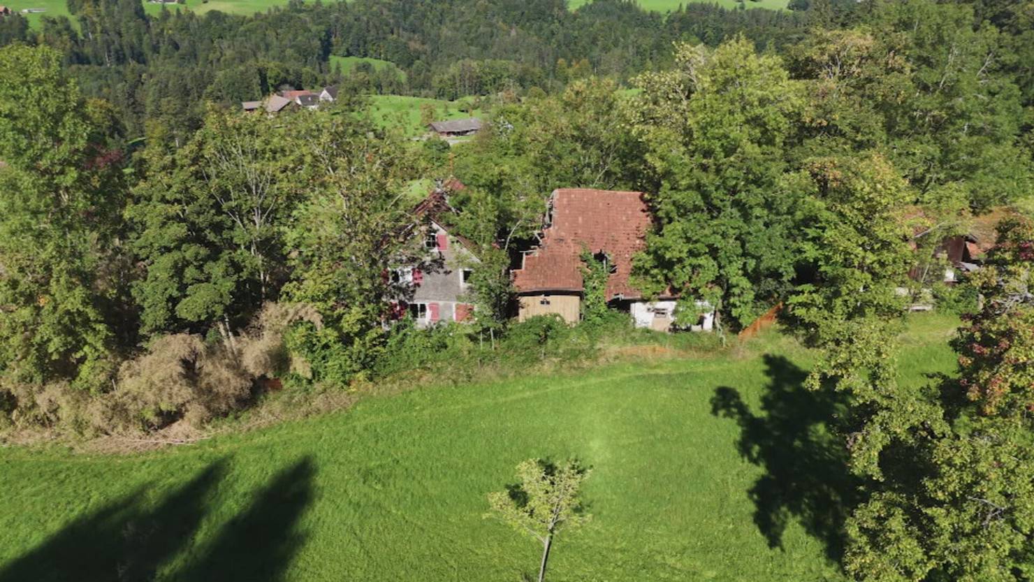 Bruchbude in der Stadt St.Gallen: Warum verlottert dieses Haus? | TVO Online