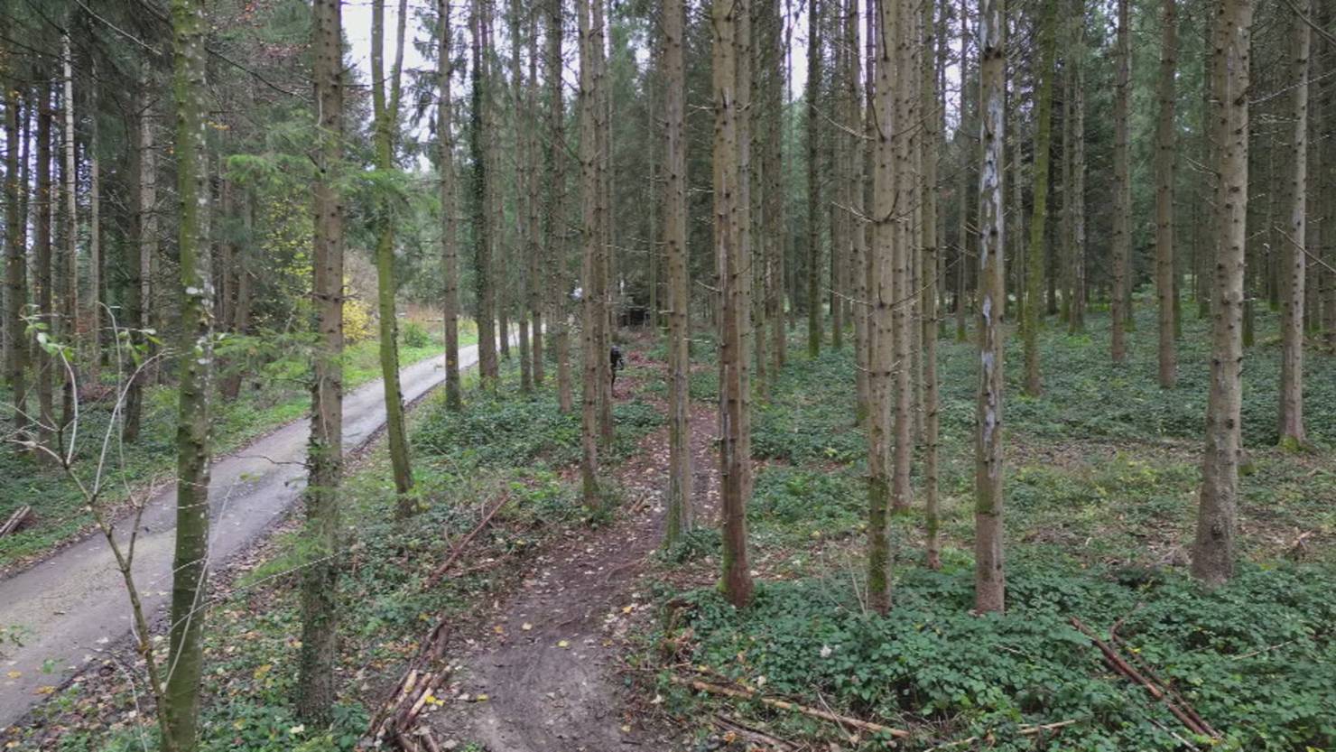 Aufbau Mountainbike-Trail in Beromünster | Tele1 Aufbau Mountainbike-Trail in Beromünster | Tele1