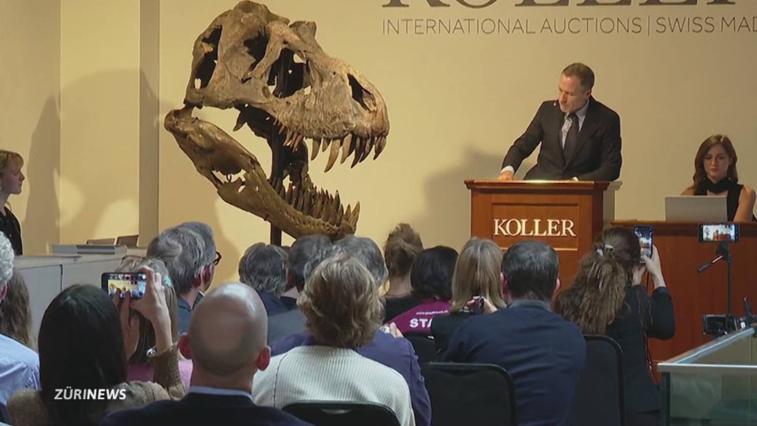 T-Rex Trinity für einen Tiefpreis versteigert | TeleZüri
