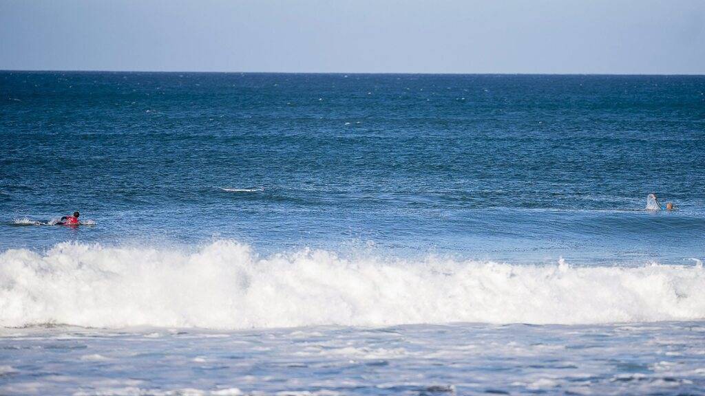 Drei Verletzte bei Hai-Angriffen in Florida | Radio Central