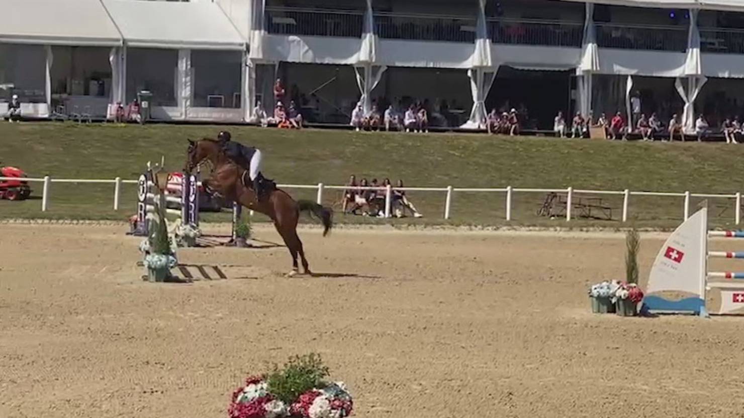Die Schweizermeister im Springreiten | TVO Online