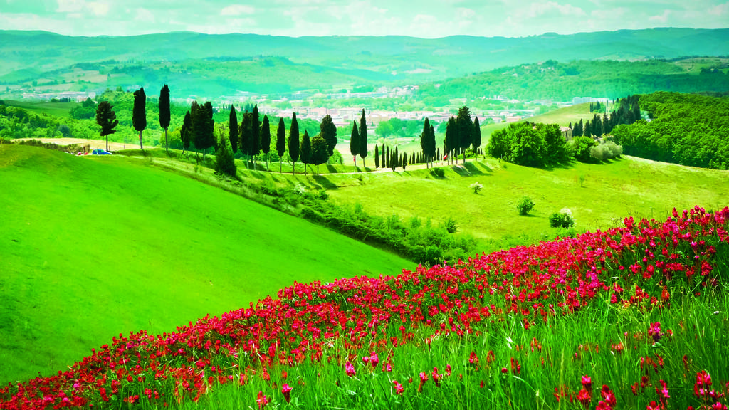 Suche - kathy.groves@c-w-c.com