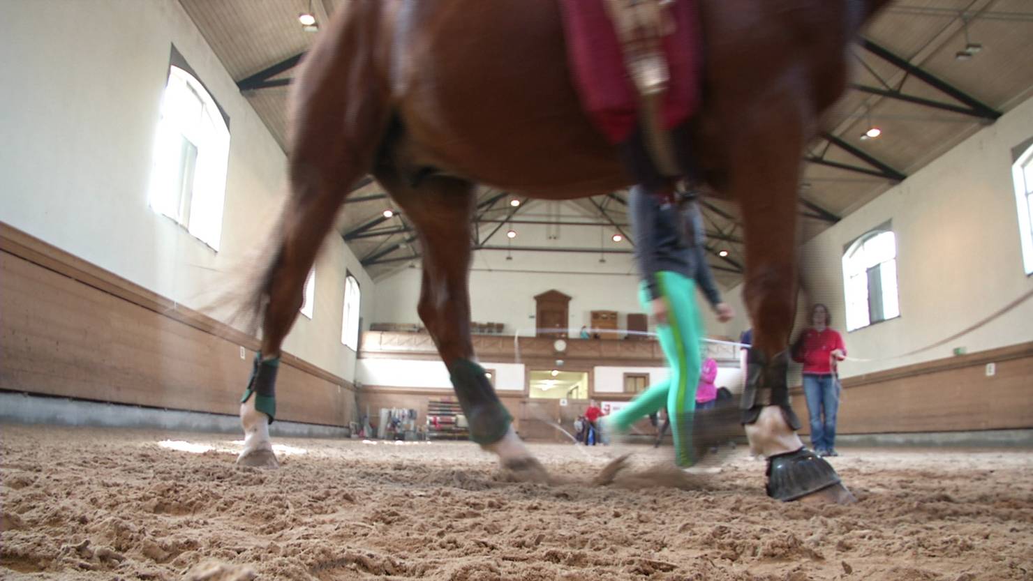 Heisser Ritt | TVO Online