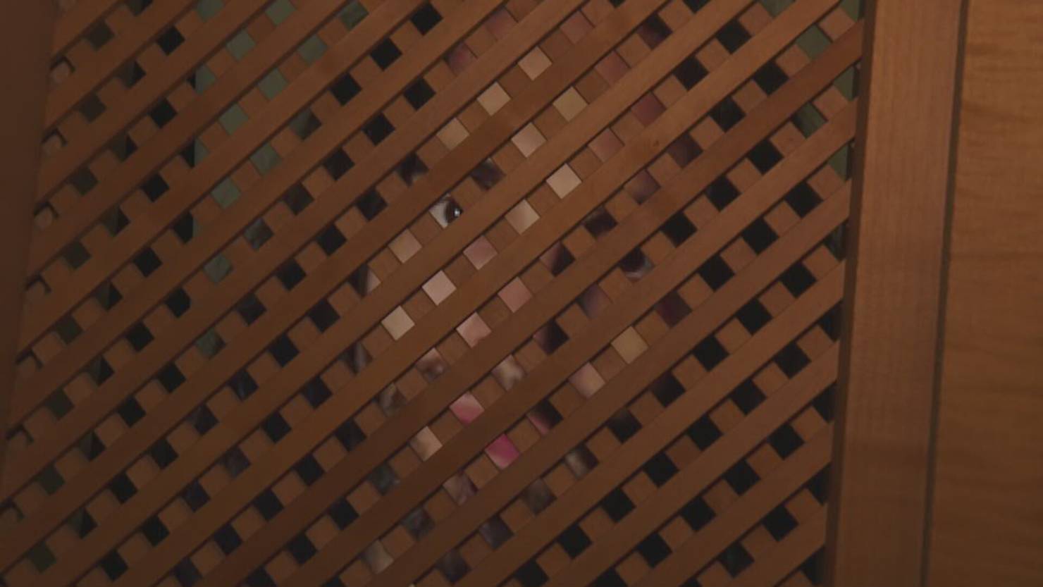 KI-Jesus im Beichtstuhl | Tele1