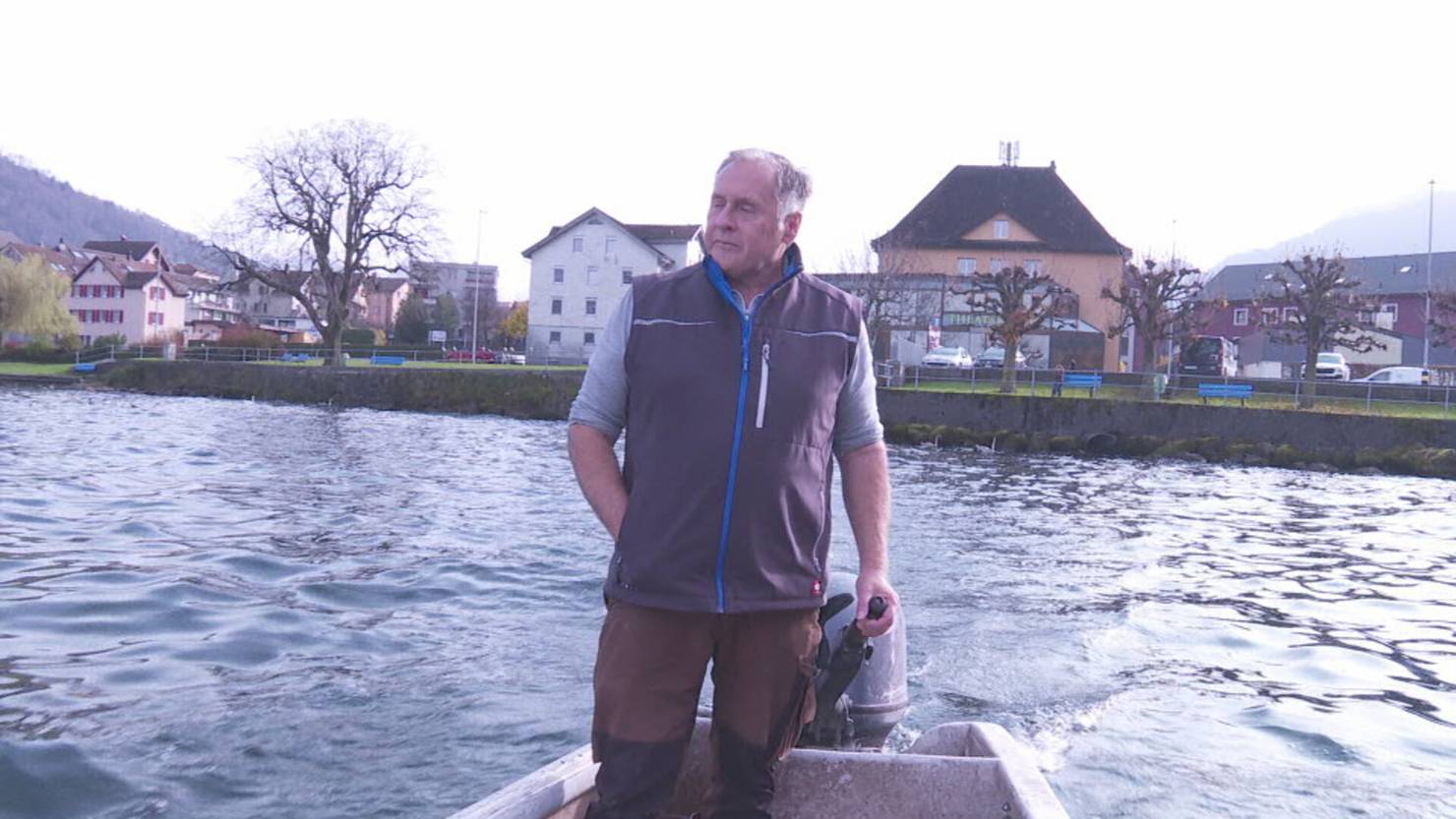Verkaufsverbot für Fische aus dem Zugersee | Tele1