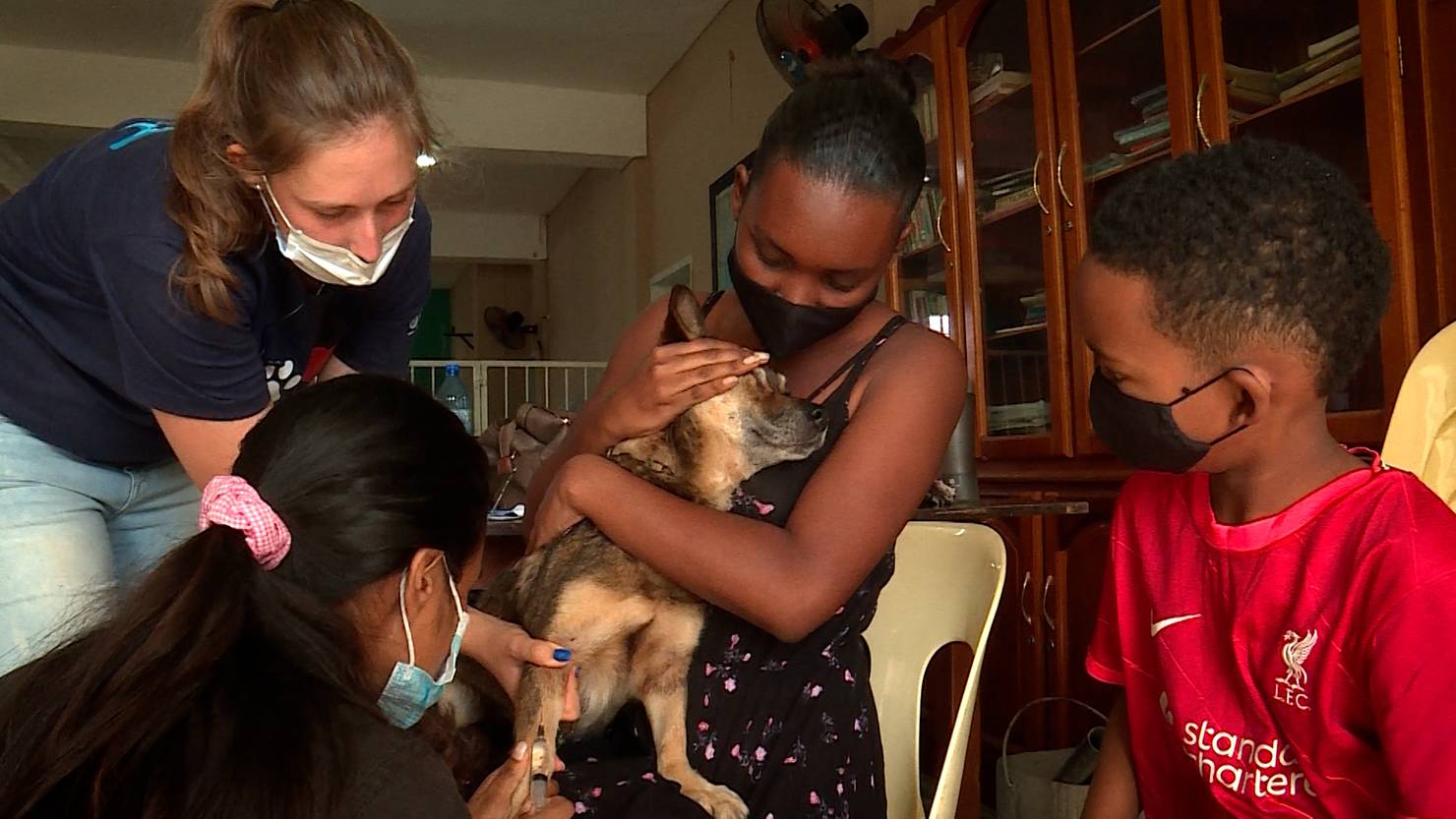 Festtagsspezialsendung: Tierschutz auf Mauritius | TeleBaern