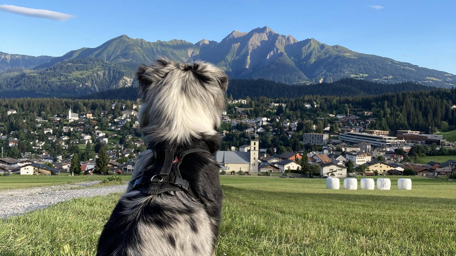 Aaron Alfaro Guerra Meisel mit Neira | Radio Argovia