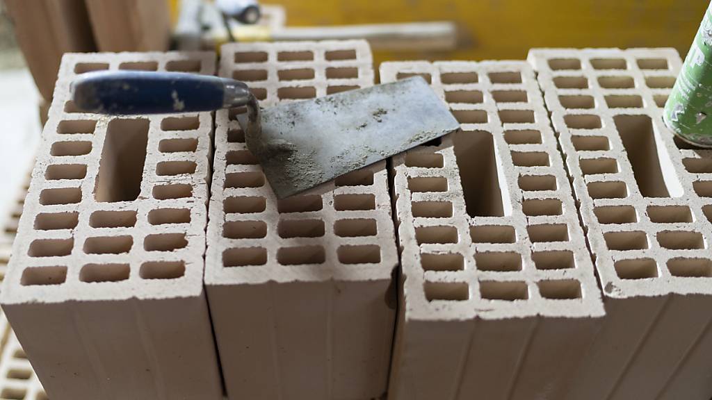 Stadt Zürich soll in Witikon Grosssiedlung bauen | Radio Central