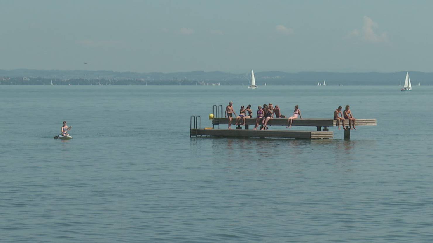 SOS für Fische: Wie die Hitzewelle den Fischen in Ostschweizer Gewässern zusetzt | TVO Online