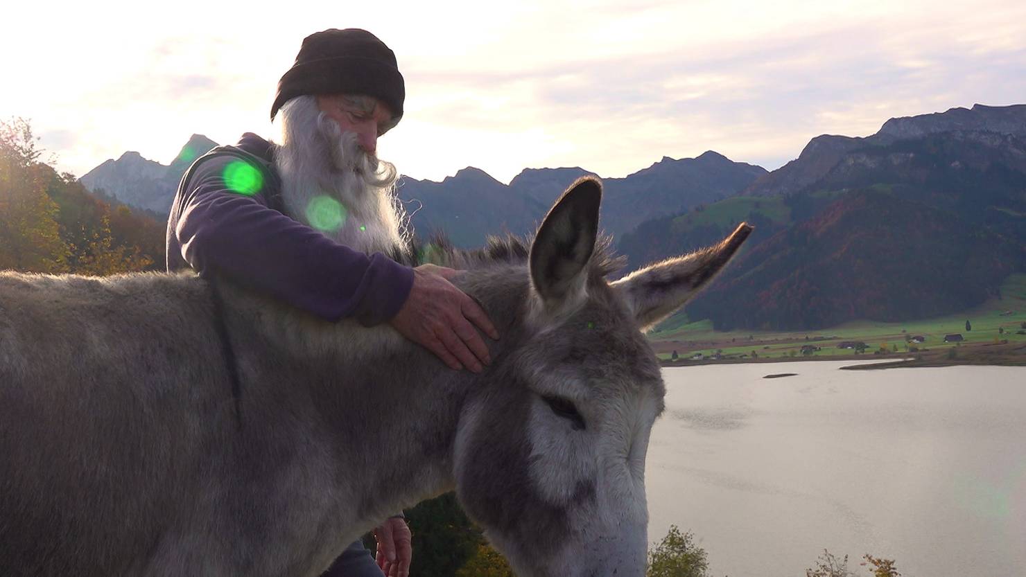 Besuch beim Samichlaus- so lebt sein Esel ausserhalb der Adventszeit ...