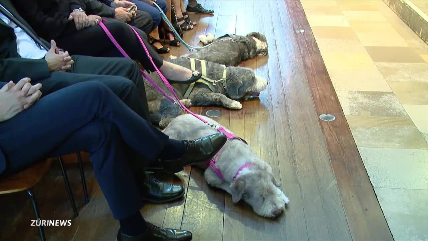 Grosse Trauerfeier für SVP-Politiker Urs Fehr | TeleZüri