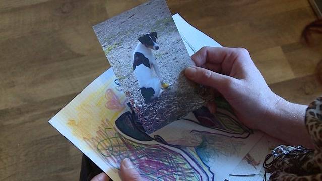 Frau erschlägt ihren Hund | TeleBaern