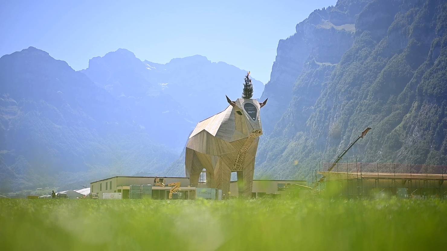 Gigantischer Holzmuni Max thront auf dem ESAF-Festgelände in Mollis | Tele1