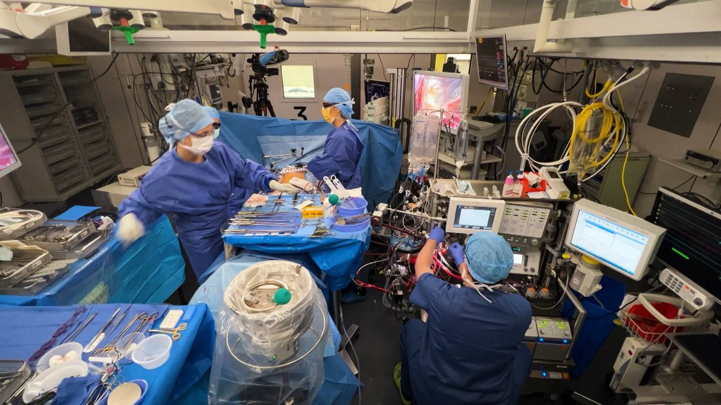 Minimalinvasive Herzklappenrekonstruktion | Tele1