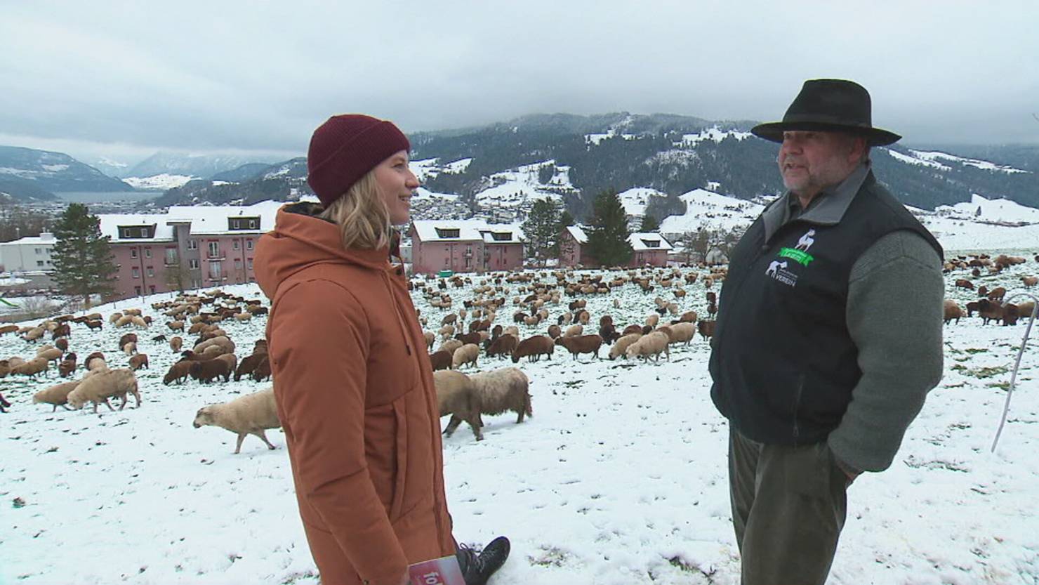 Wanderhirte Ernst Vogel | Tele1